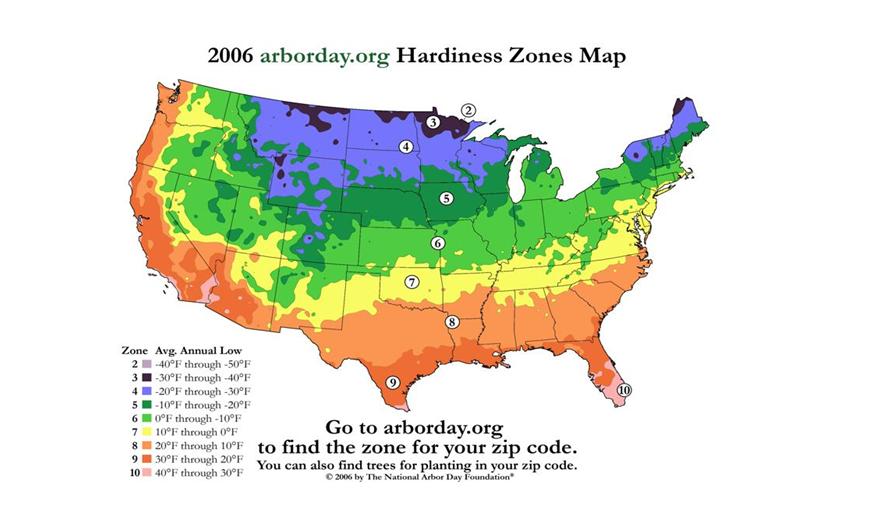 Go To Site arborday Enter Your Zip Code To Find Your Hardiness Go To Site arborday Enter Your Zip Code To Find Your Hardiness